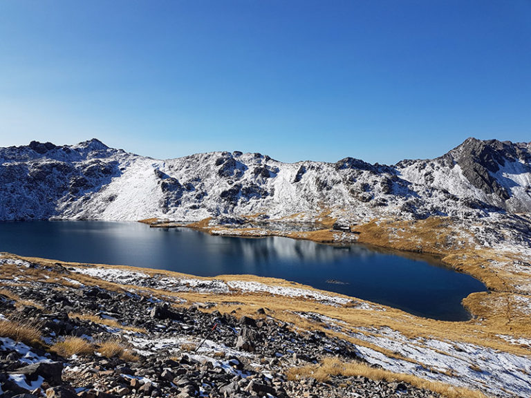 Gallery - Scrambled Legs