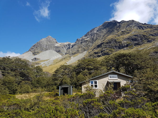 Gallery - Scrambled Legs