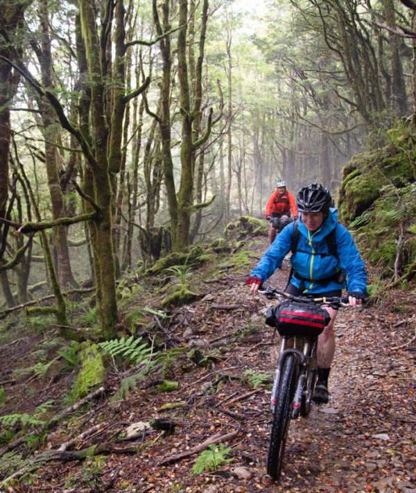 Home - Scrambled Legs