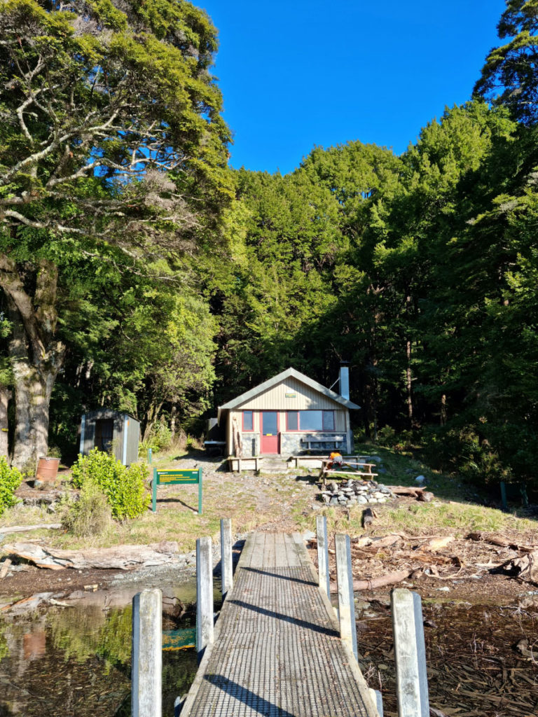 Gallery - Scrambled Legs